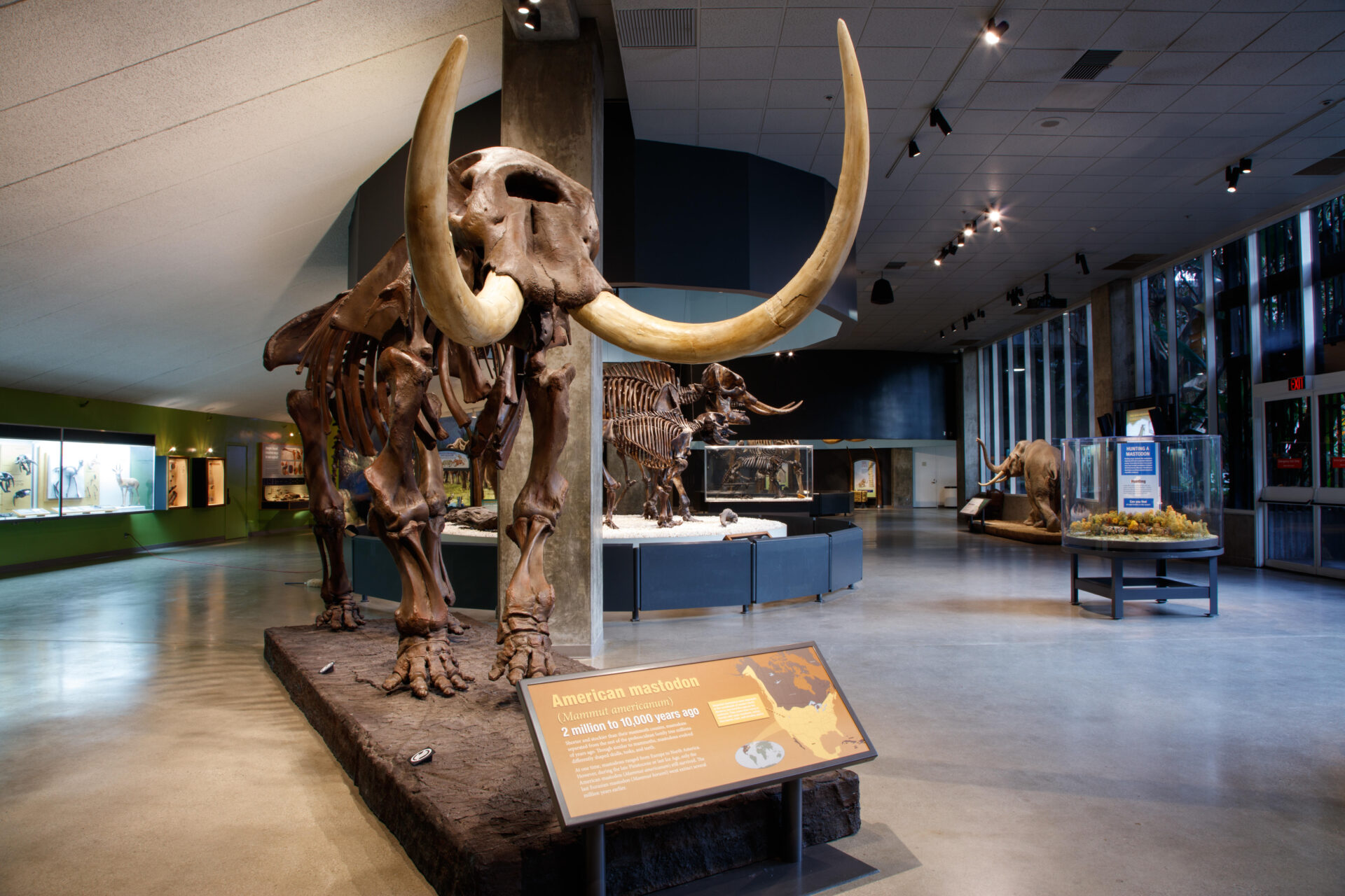 Annual Museums Free-for-All - LA Plaza de Cultura y Artes